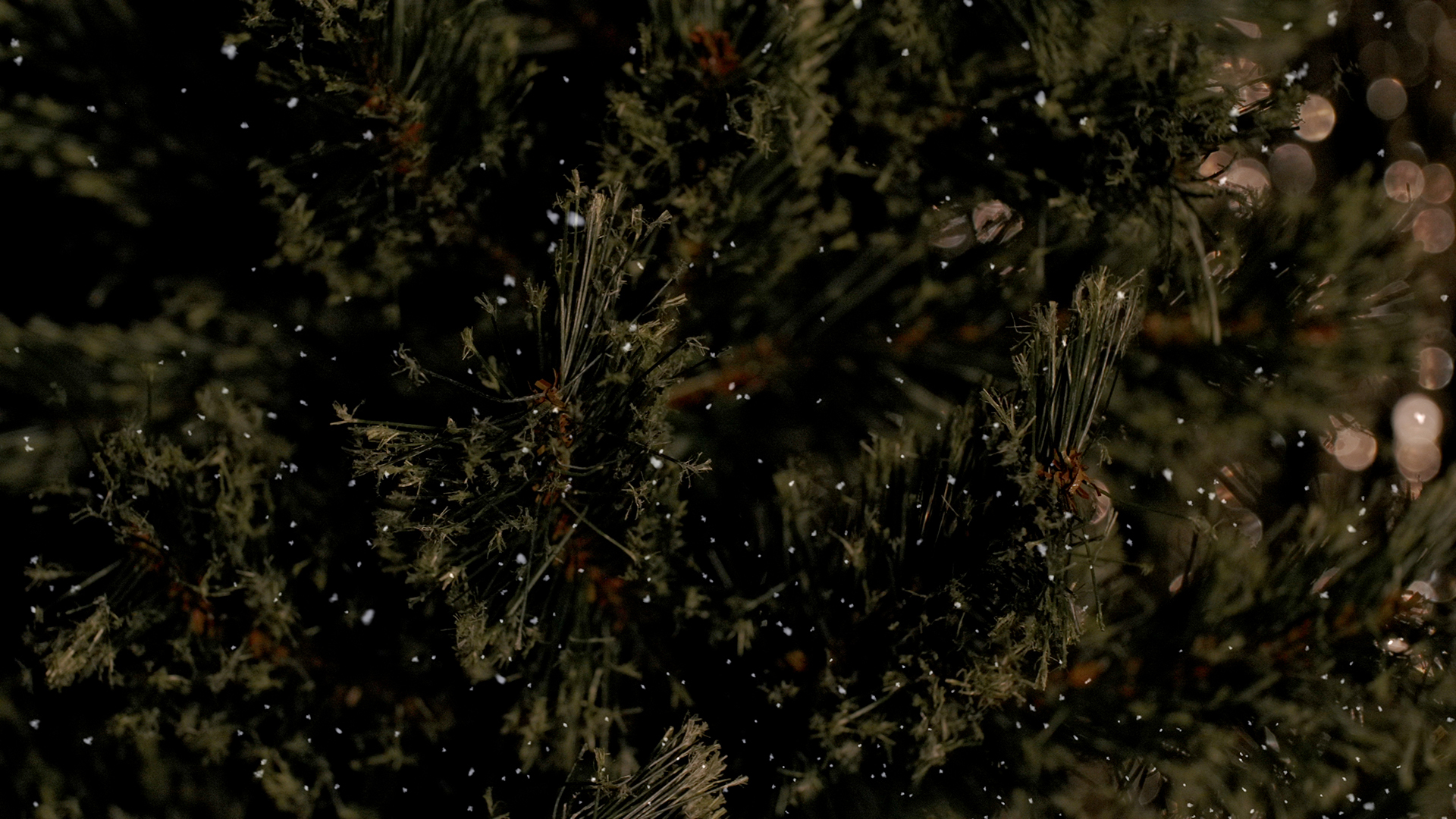 Christmas Tree 10 | Motion Video Background