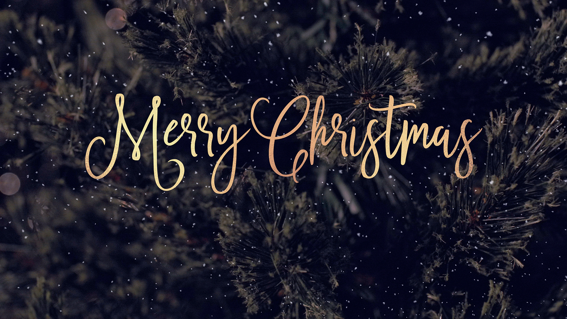 Christmas Tree Merry Christmas | Motion Video Background