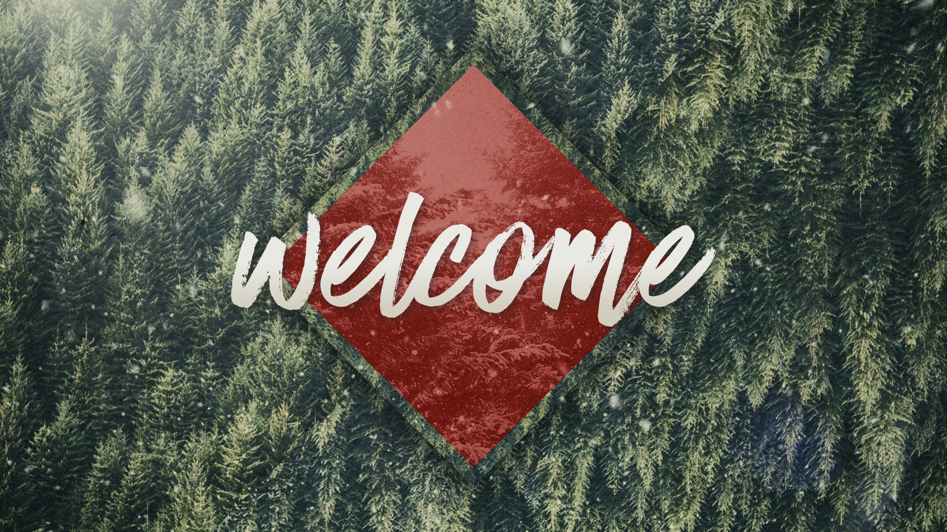 Christmas Forest Welcome | Motion Video Background