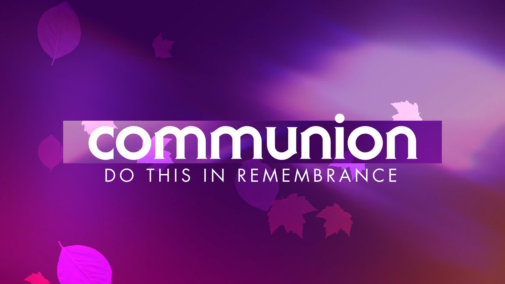 Light Leaves Communion | Motion Video Background