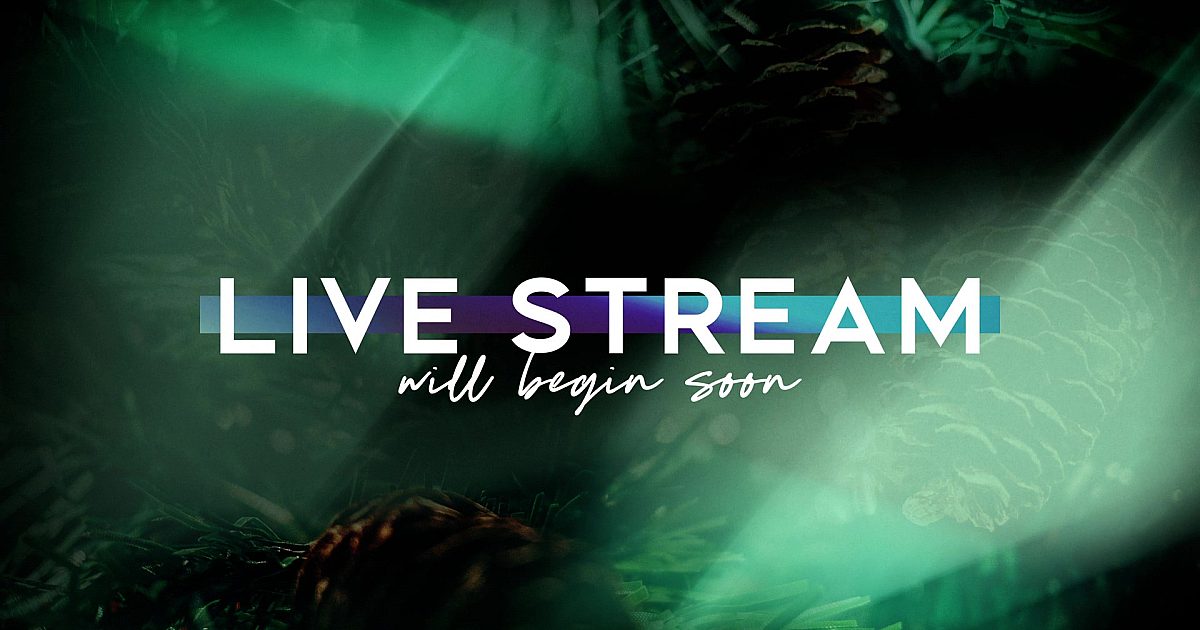 Christmas Light Live Stream | Motion Video Background