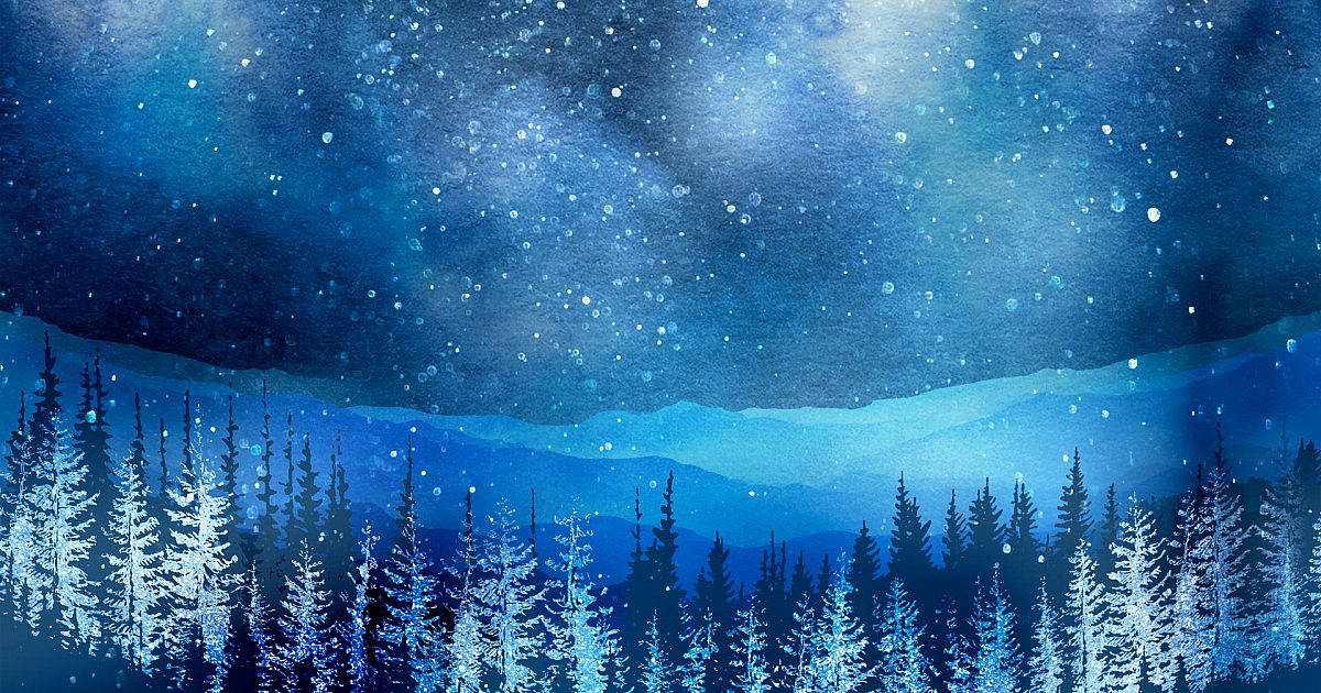 Christmas Woods 11 | Motion Video Background