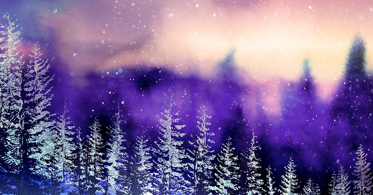 Christmas Woods 9 | Motion Video Background